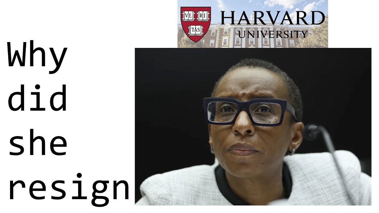 Why did the Harvard president resign - YouTube