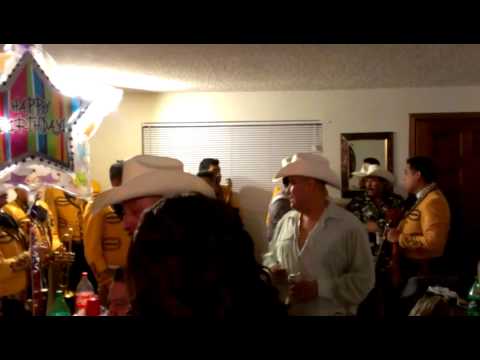 Tragos amargos con mariachi y acordeon - YouTube