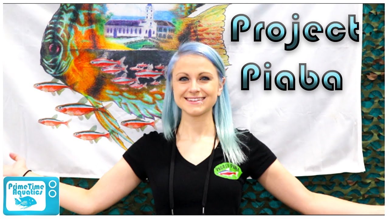 A Conversation With Project Piaba: Is It Possible To Sustainably ...