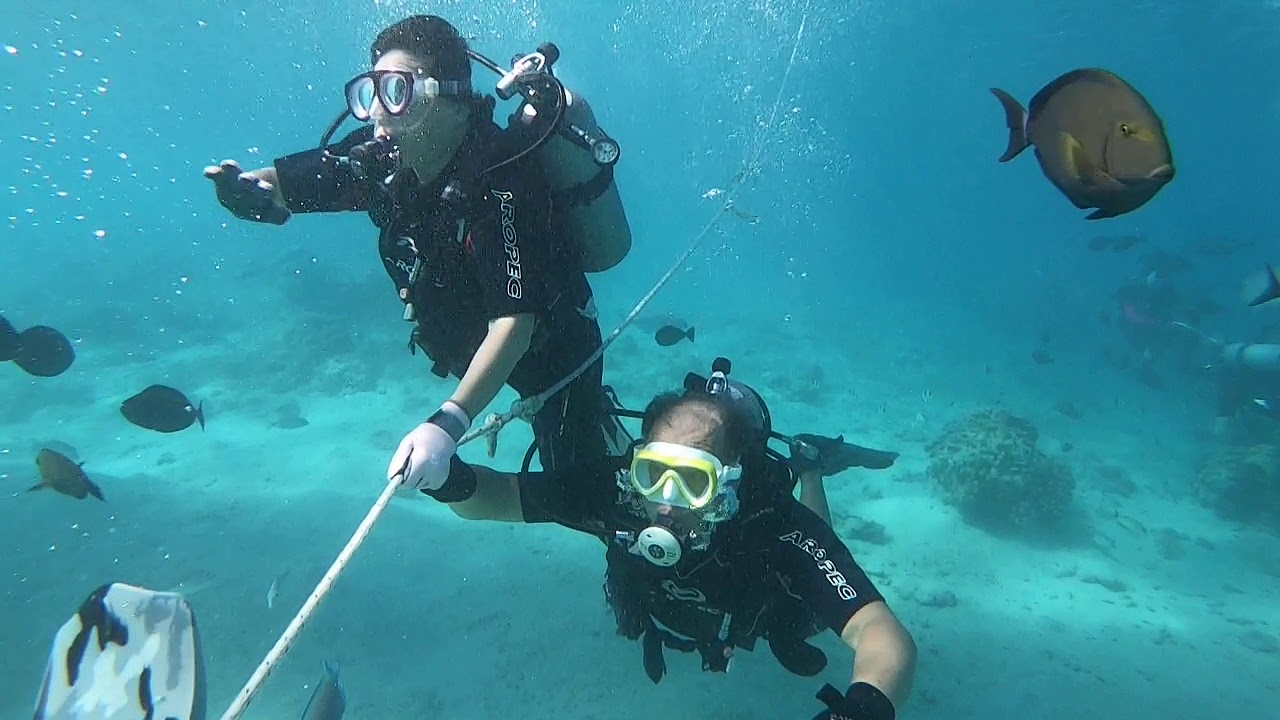 Guam scuba diving.2019-dec-8 - YouTube