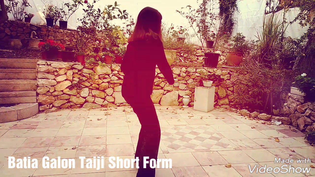 Batia Galon Taiji Short Form (Patrick Kelly Style) - YouTube