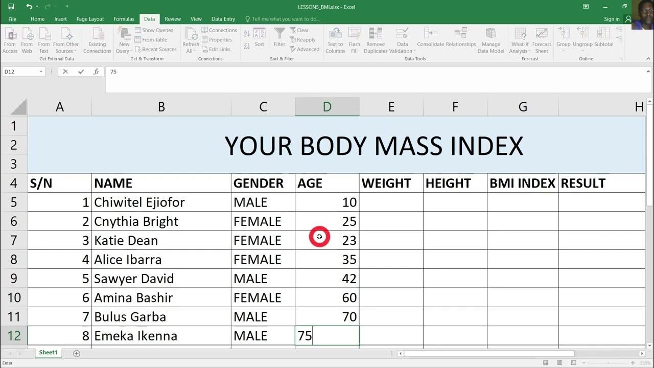 LESSON5 BMI TEMPLATE IN EXCEL - YouTube