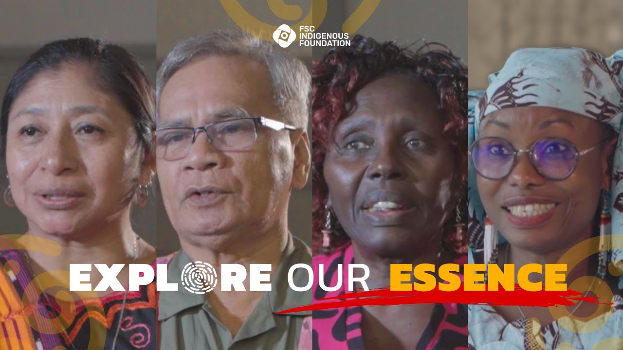 What is the FSC Indigenous Foundation? - YouTube