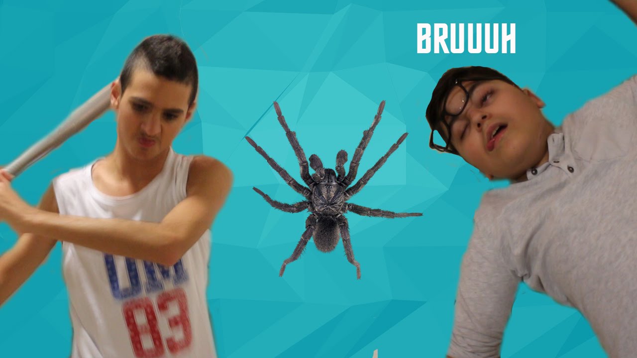 SPIDER FREAK OUT - YouTube