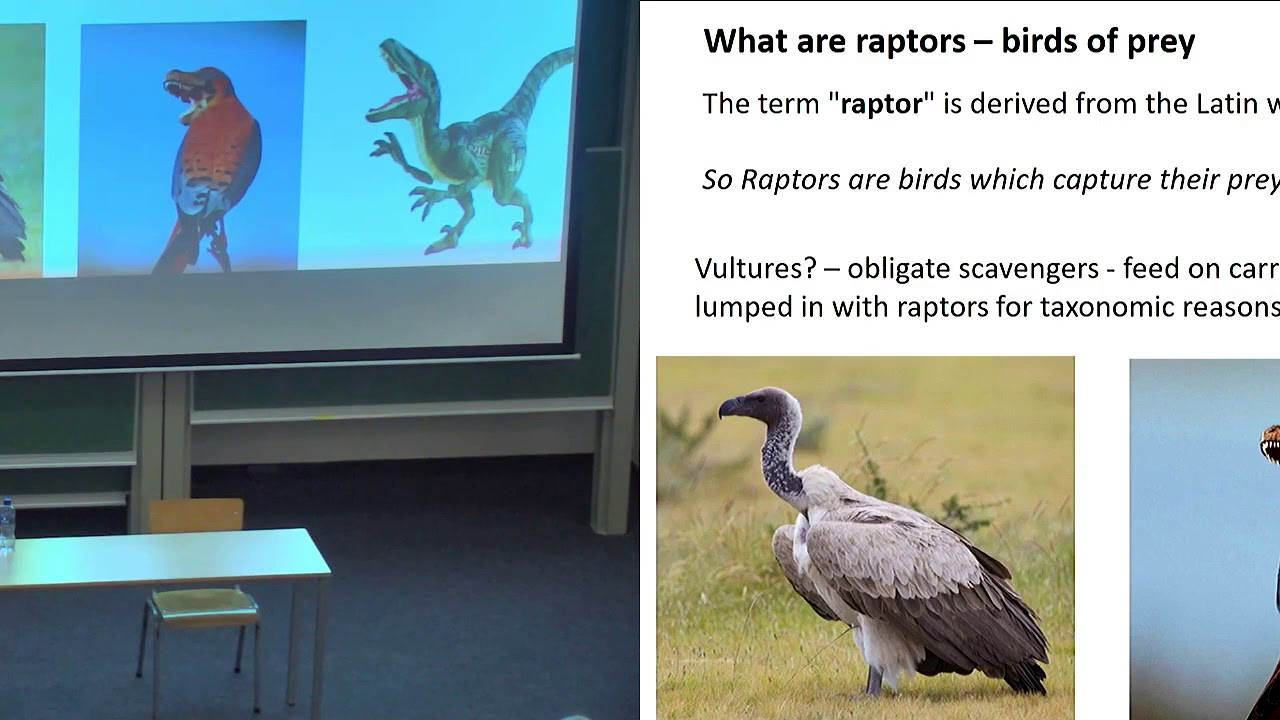 African ornithology 3African raptor ecology and conservation – Arjun ...