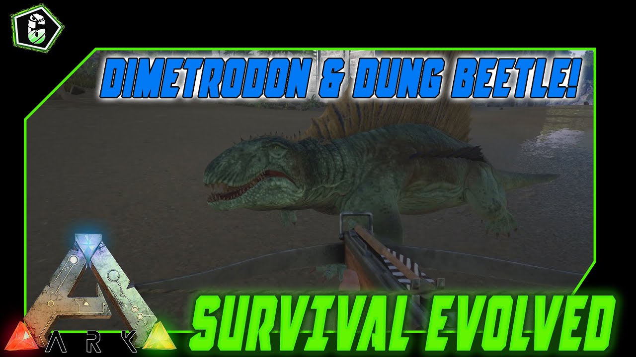 ARK Survival Evolved: Dimetrodon & Dung Beetle First Look! - YouTube