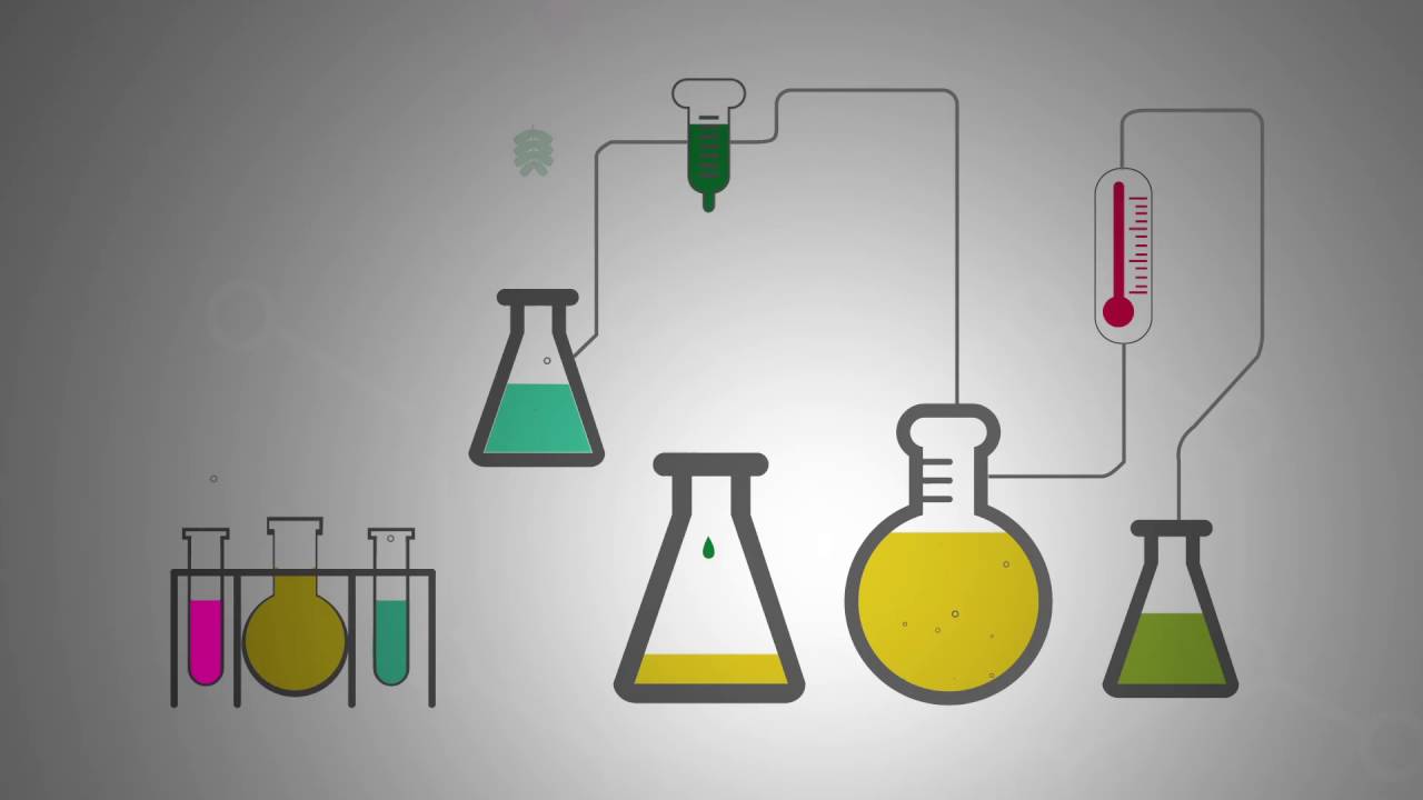 Royal Regime Tea from Royal Herbs - For a Healthy Body & Perfect Weight ...