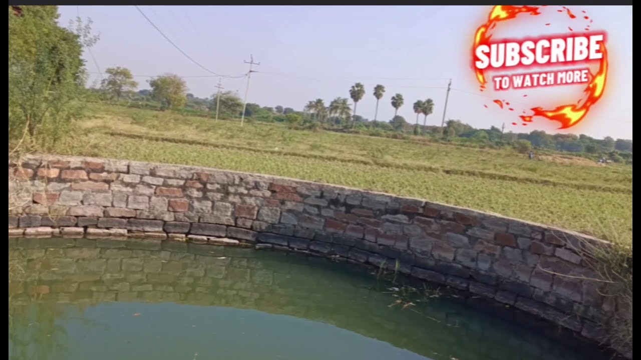 Summer at పల్లెటూరు బావి and Discovered the Secret to Super Locations ...