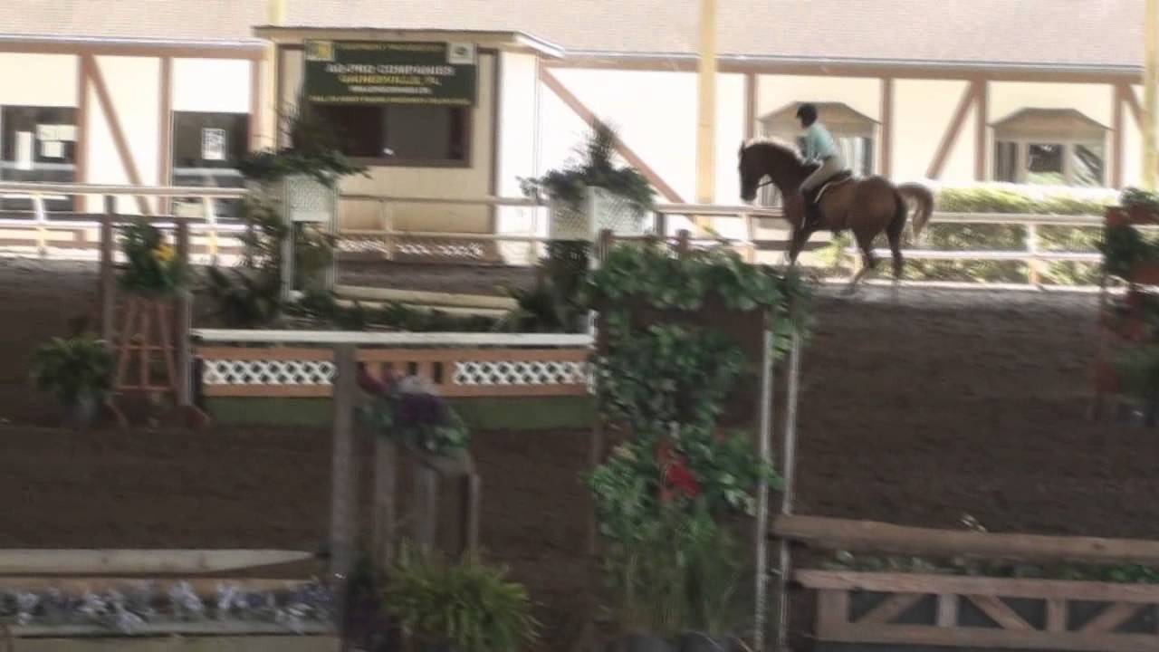 High Hand - Pre-adult Hunter over fences - YouTube