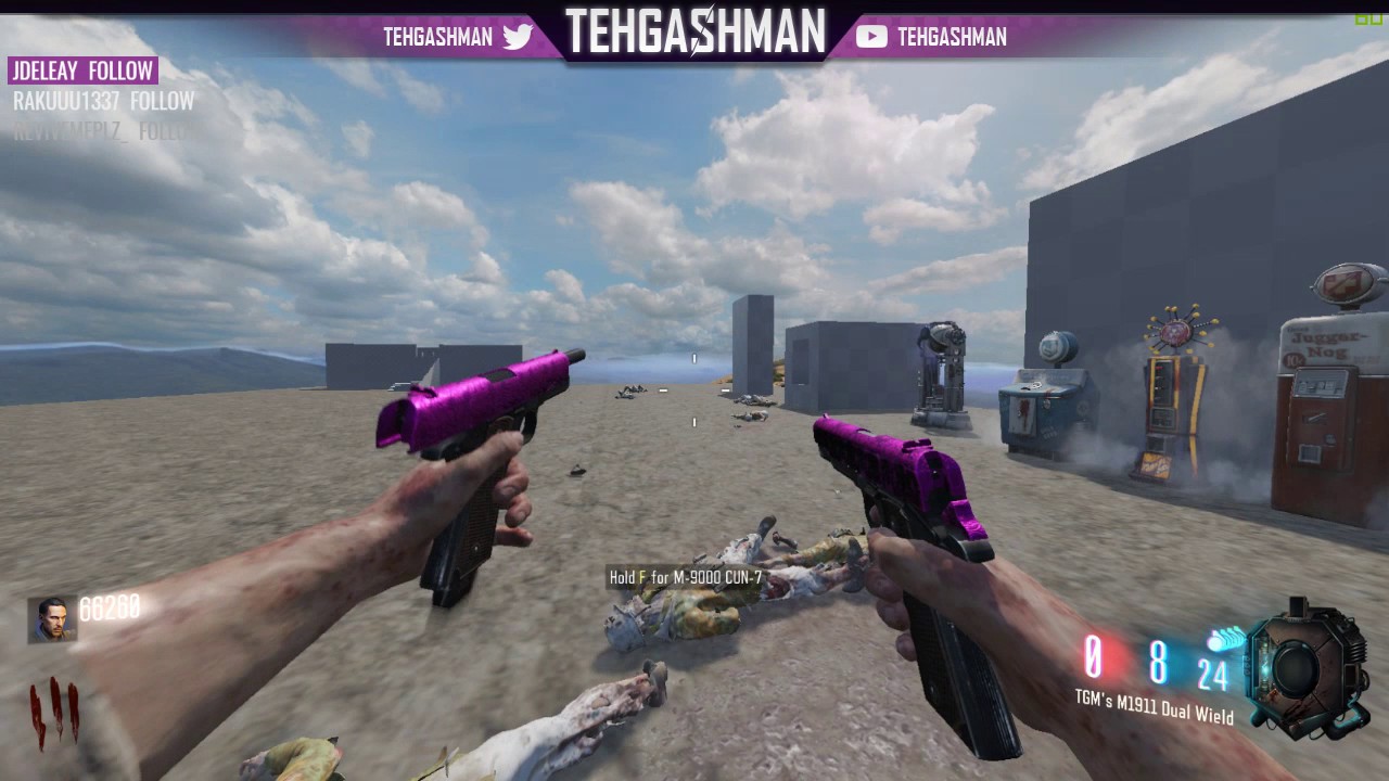 BO3 Mod Tools Test | M1911, Mustang and Sally, Dual Wield weapons - YouTube