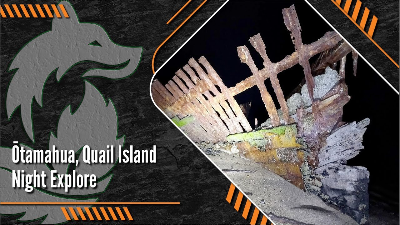 Ōtamahua, Quail Island Night Explore - YouTube