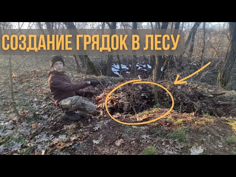 Грядки Хольцера в лесу: Органическое земледелие и теплые грядки для богатого урожая в лесу