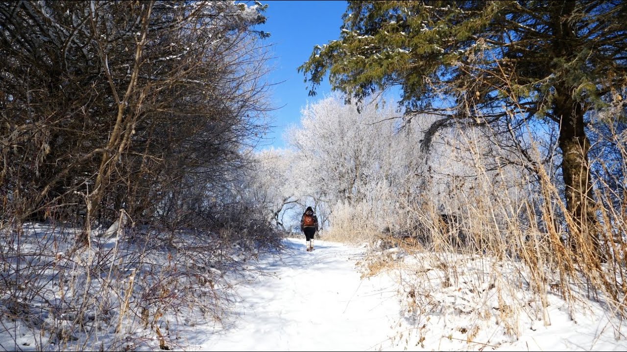 No. 8 // Slow Winter Days; A Journey Far Away - YouTube