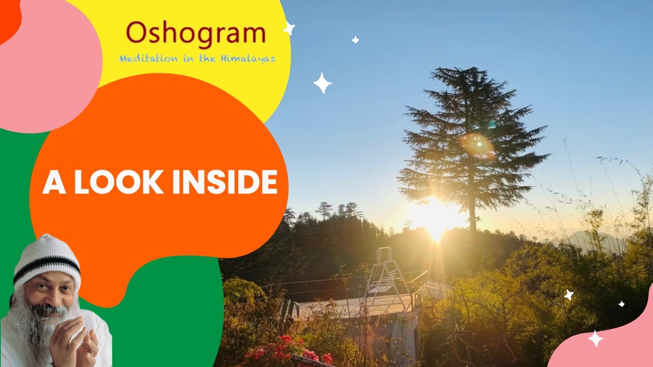 Oshogram, A Look Inside - YouTube
