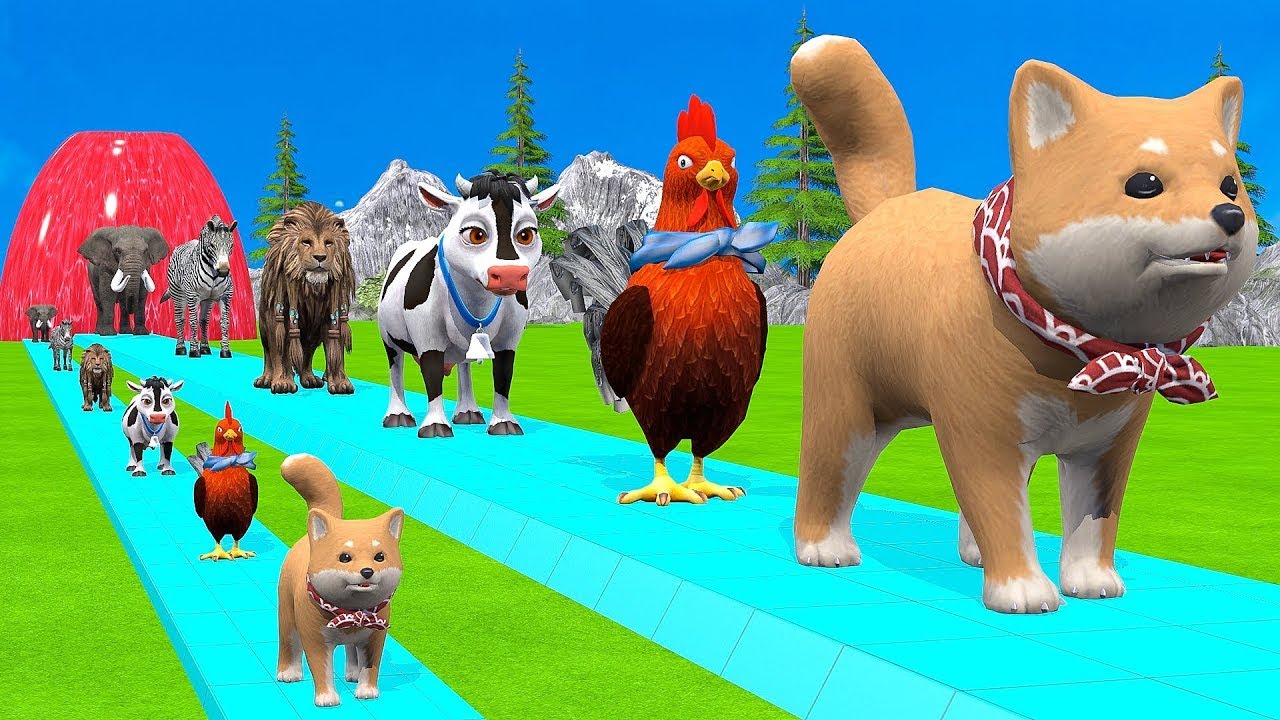 Long Slide Game With Sheep Lion Tiger Gorilla Cheetah 3D Animal Game ...