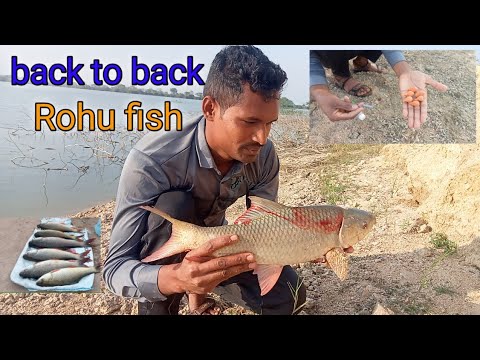 Back to Back Raho Fish Lagatar Raho Machhali #Rk CG Fishing - YouTube