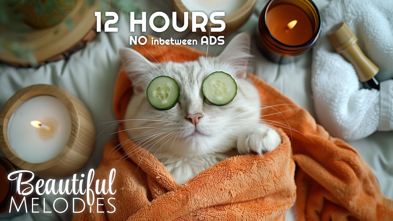 Relaxing Nature Music 🌿 Soothing Guitar, Flute & Piano for Cats ...