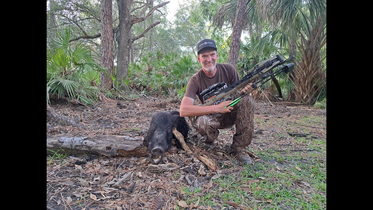 Spot N Stalk Hog Hunting At Razzor Ranch in Florida - YouTube