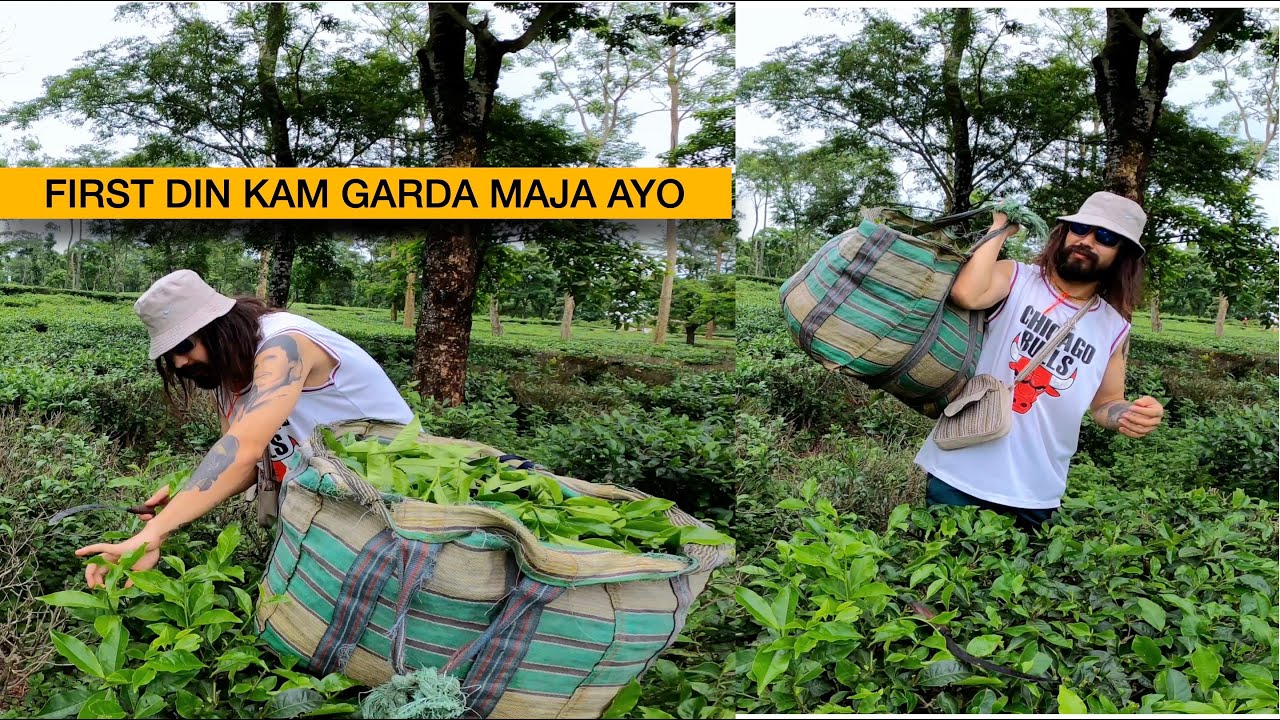 👨‍🌾 NEW JOB FOUND ~ DAY ~ 1 " CHIYA PATTI ️ CUTTI " 🌿 - YouTube