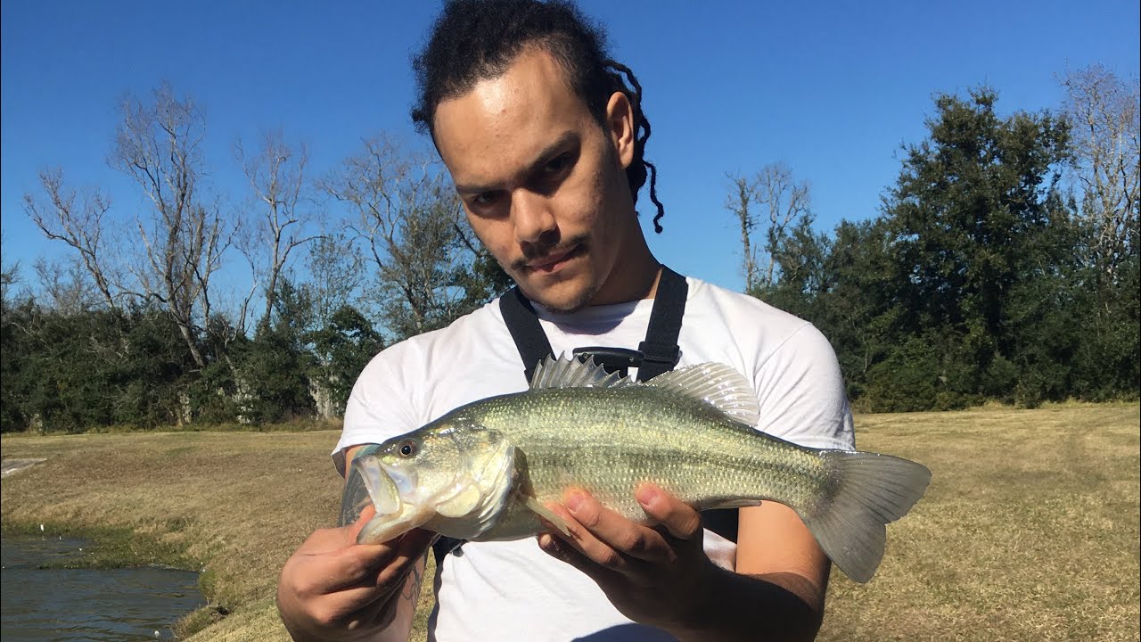 Using live bait freshwater pond fishing - YouTube