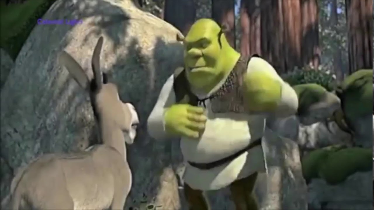 I only love my SWAMP and my DONKEY I’m sorry shrek sings gods plan by ...