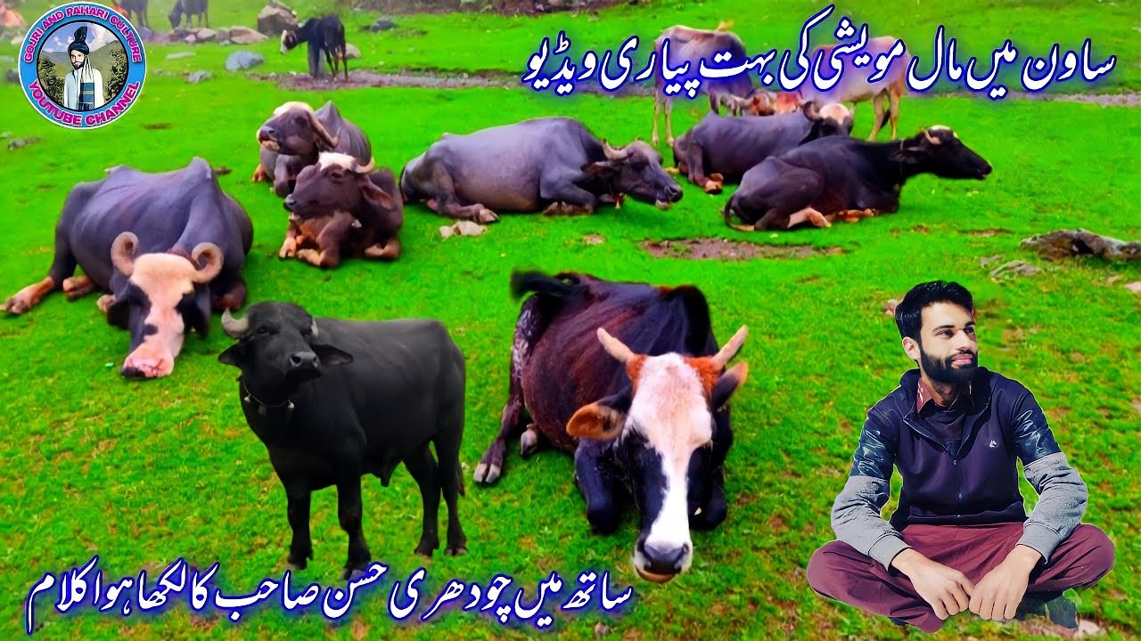 very beautiful dhook video 2022:kalam Hasan din Hasan:awaz Ayaz Ahmad ...