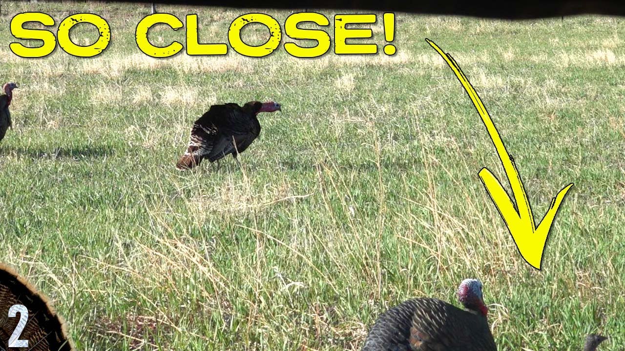 The Turkeys WON! | 28 Gauge Turkey Hunting - YouTube