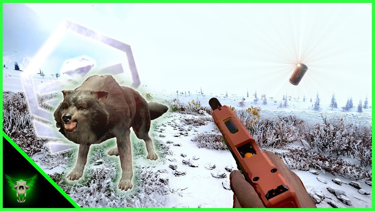 Tango with a Diamond Grey Wolf! in theHunter: Call of the Wild - YouTube