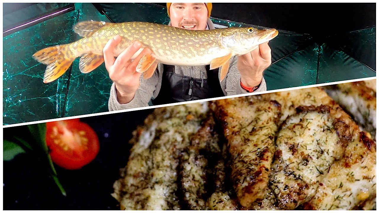 Pike Catch And Cook! - YouTube