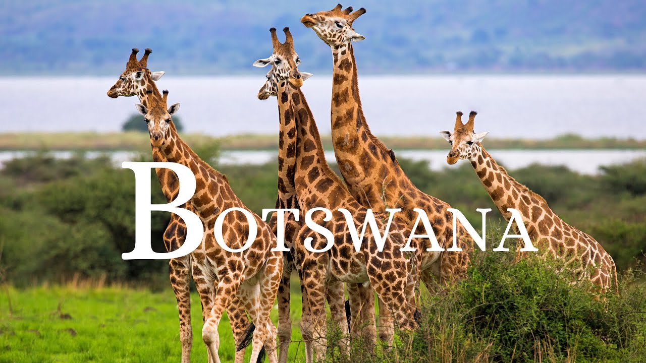 Wildlife of Botswana with Inspire Music | Nature 10M | Botswana animals ...
