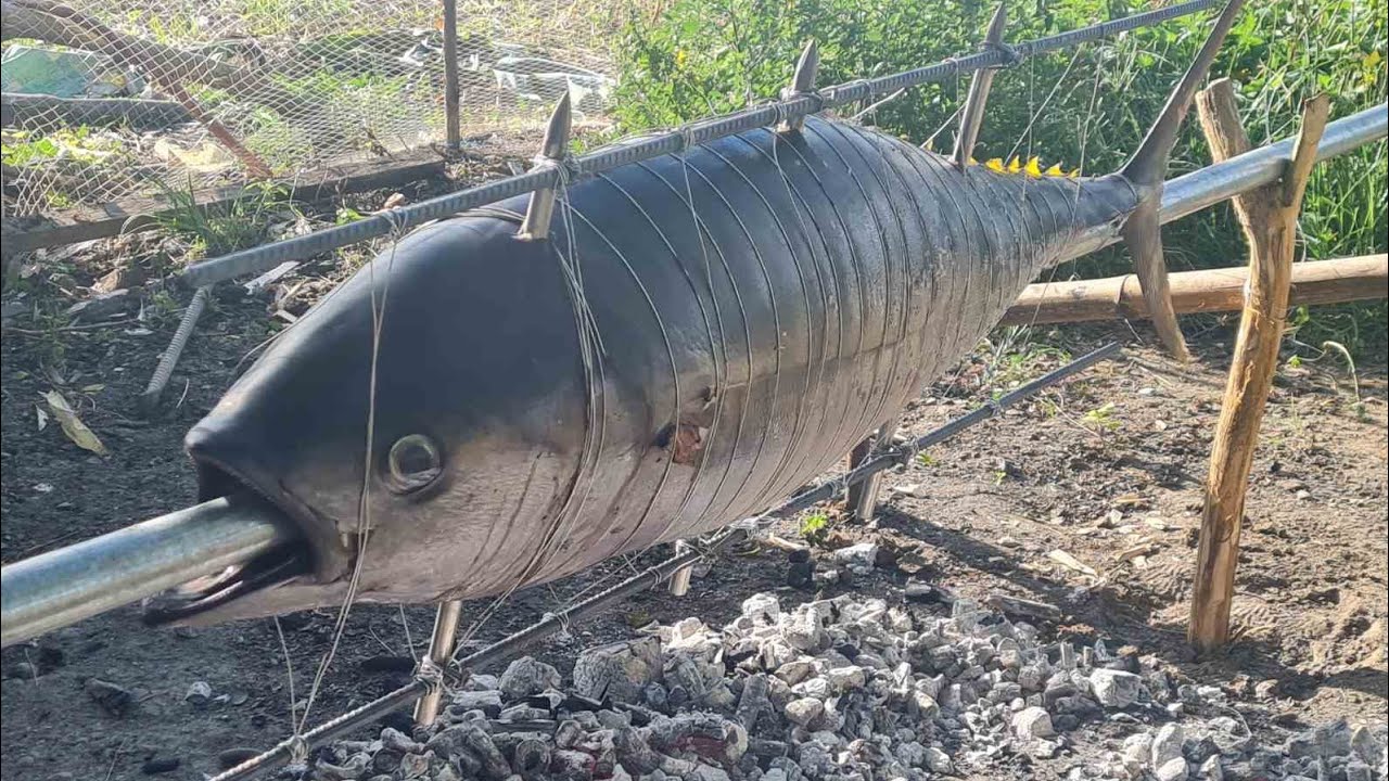EP819-P1 - 45KG Tuna Lechon - YouTube