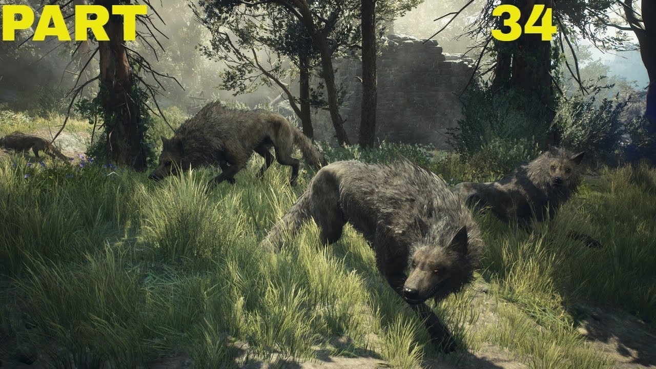 Dragon's Dogma Part 34 Wolf, Snow Harpy And Deer Hunting - Gameplay ...