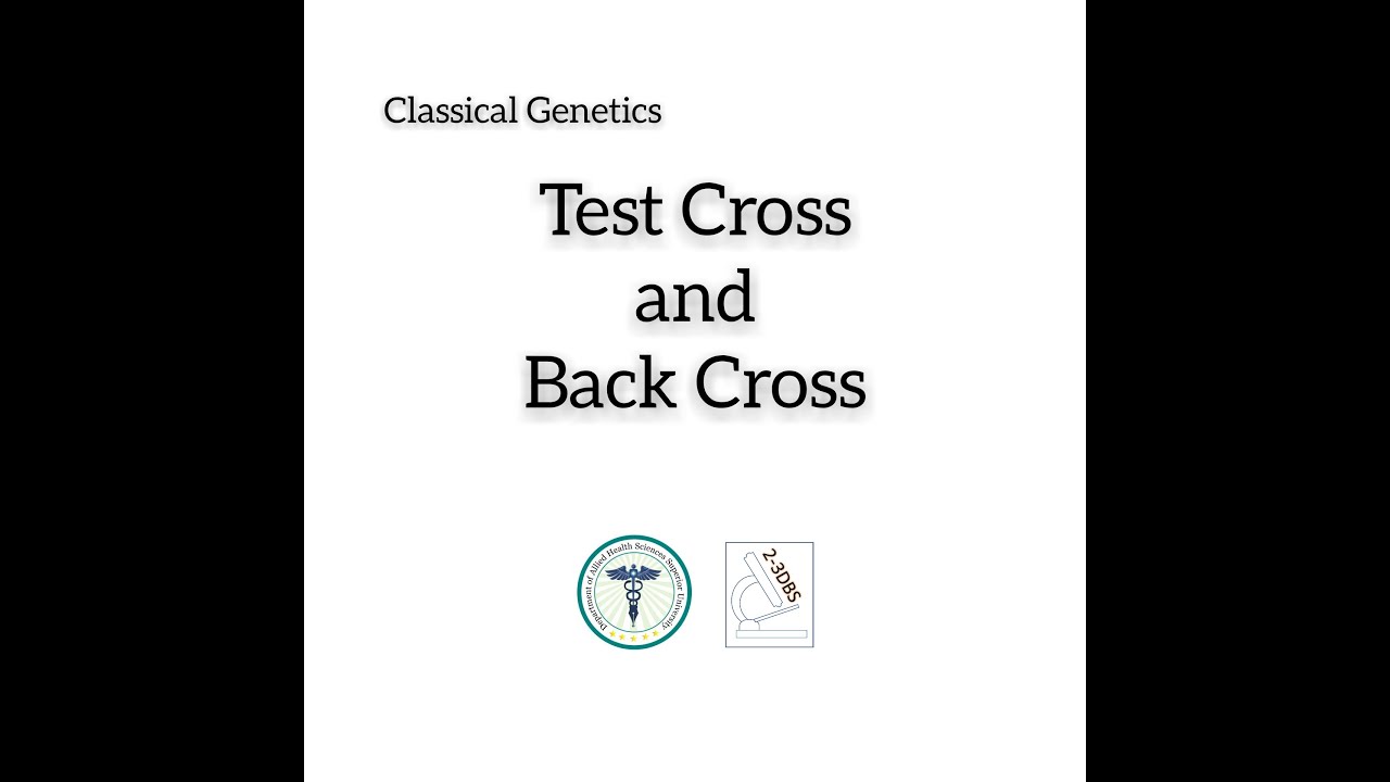 Test Cross and Back Cross (Urdu) | AHS Department | Superior University ...