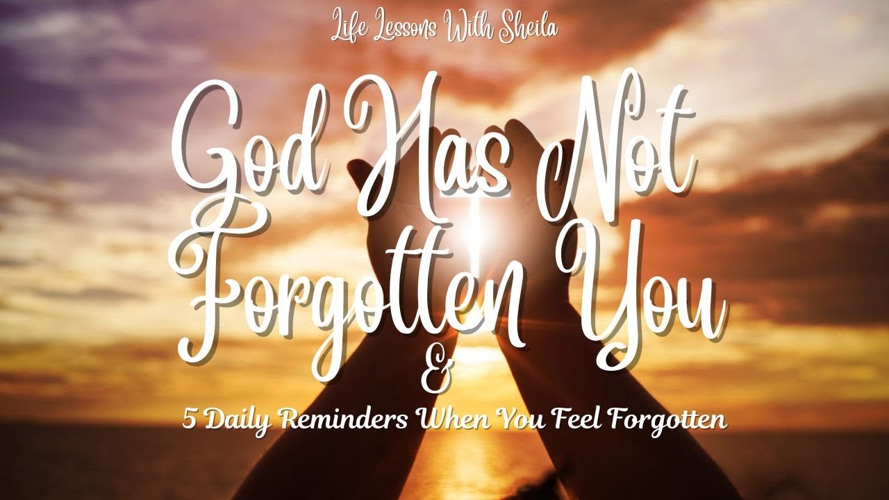 God Has Not Forgotten You 5 Daily Reminders When You Feel Forgotten ...