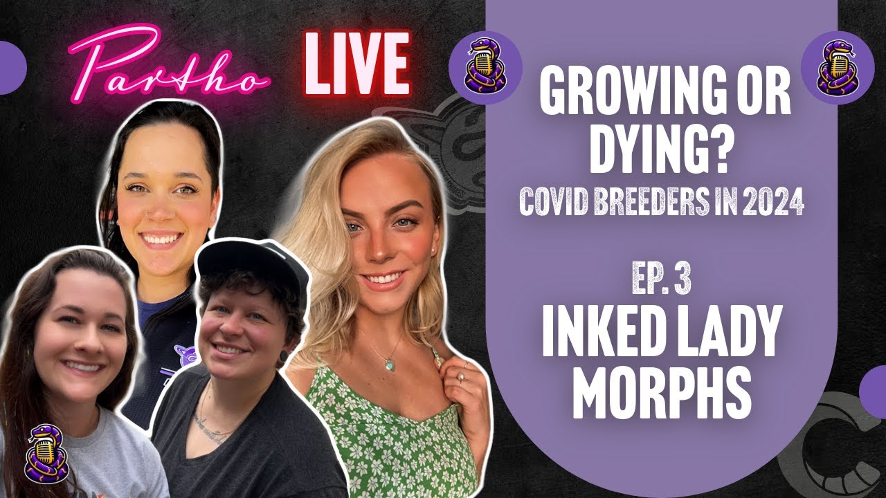 Growing or Dying? | COVID Reptile Breeders in 2024 | Ft. Inked Lady ...