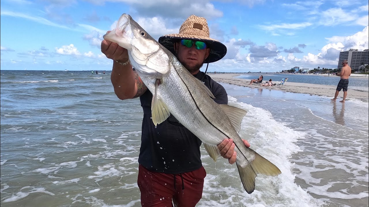 Using The LIVE TARGET To Catch A MONSTER Fish - YouTube