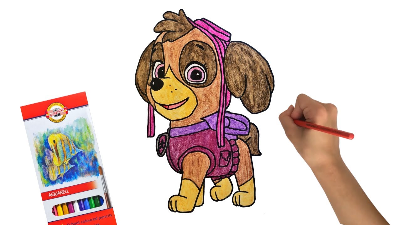 Drawing Skye From Paw Patrol - Painting and Coloring for Kids and ...