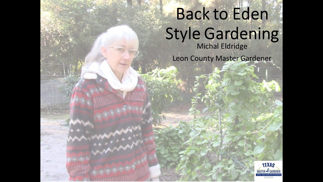 Back to Eden Style Gardening - YouTube