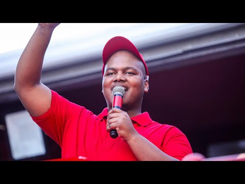 EFF’s Sihle Lonzi Drops Bombshell: ‘If We’re Unemployed, So Must Gwede ...