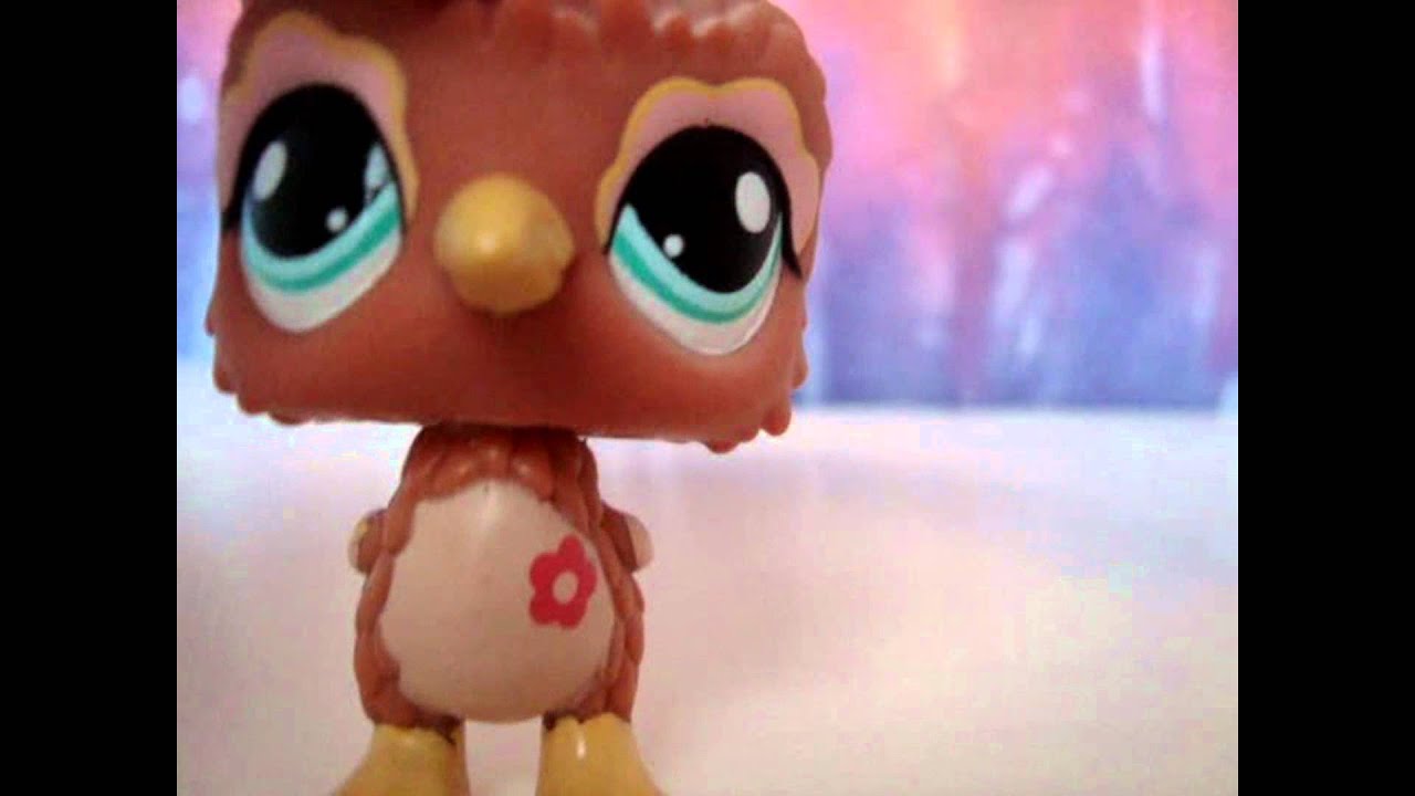 LPS: Updates (11-8-11) - YouTube