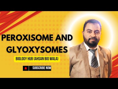 Peroxisome and Glyoxysomes | Structure and Functions | Class 11 Biology ...