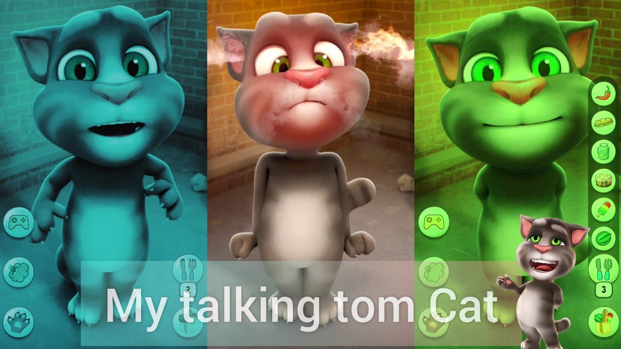 My talking tom Cat - YouTube