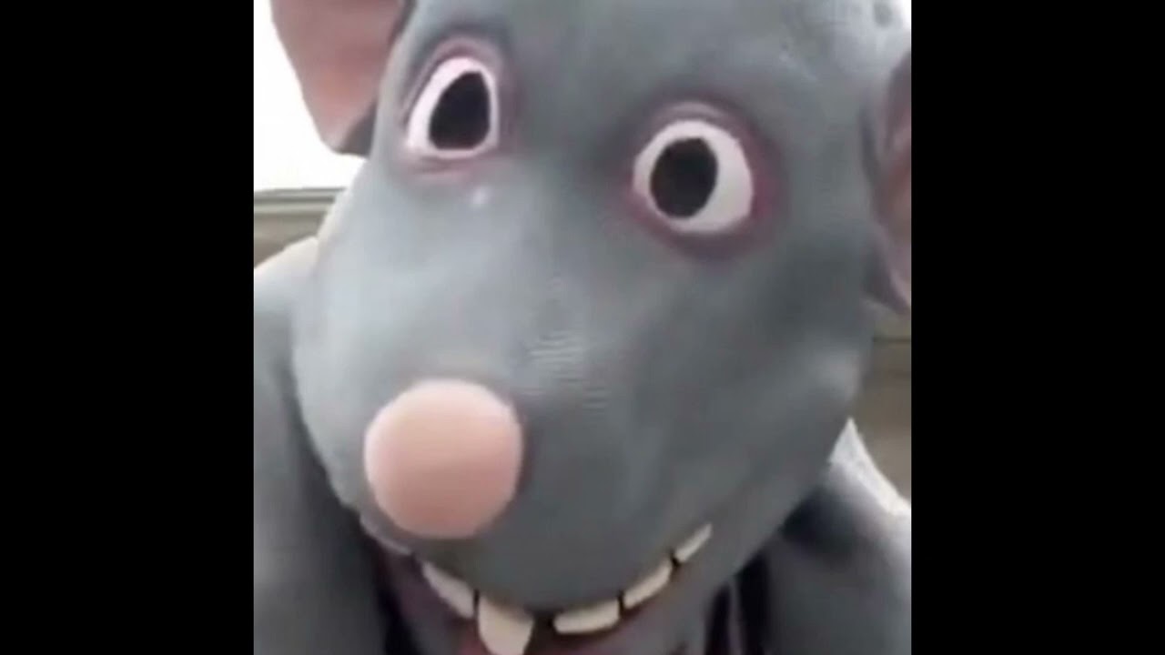 RickToons - YOU IDIOT YOU'VE FALLEN FOR THE RAP TRAP - YouTube