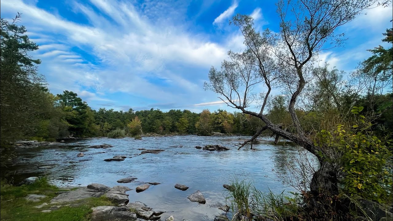1 Hour Relaxing Brook Sounds with Birdsong | Nature Ambience for Stress ...