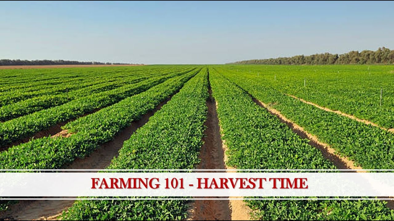 Farming 101 - Harvest Time - YouTube