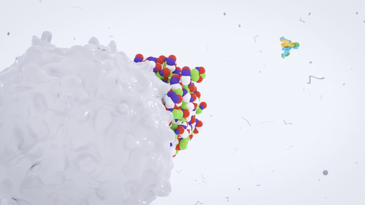 3D science animation - Snake antivenom creation - YouTube