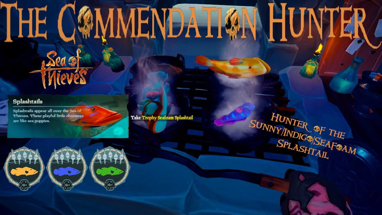 The Commendation Hunter - Episode 13: Hunter of the Sunny/Indigo ...