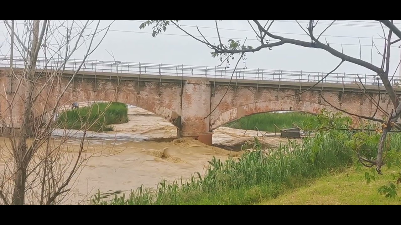 Piena nell'ultimo tratto del torrente Arzilla. Fano 16/05/2023 - YouTube