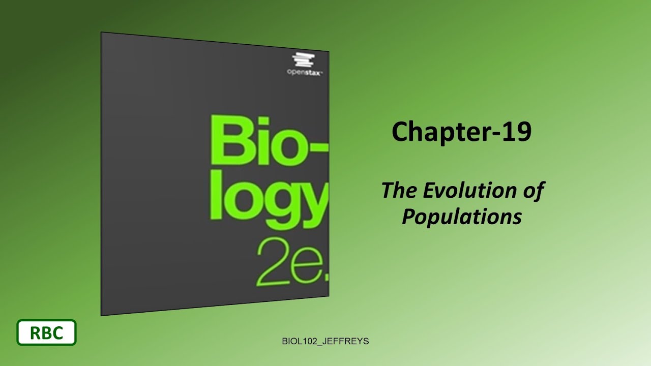 CH19 EVOLUTION OF POPULATIONS video lecture - YouTube