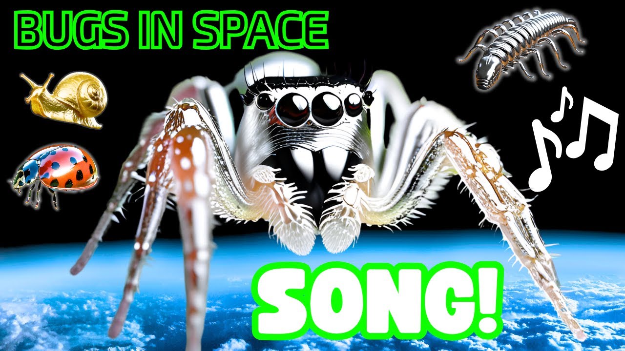 BUGS IN SPACE! 🚀 | Fun Bug & Insect Song | Educational Music Video ...